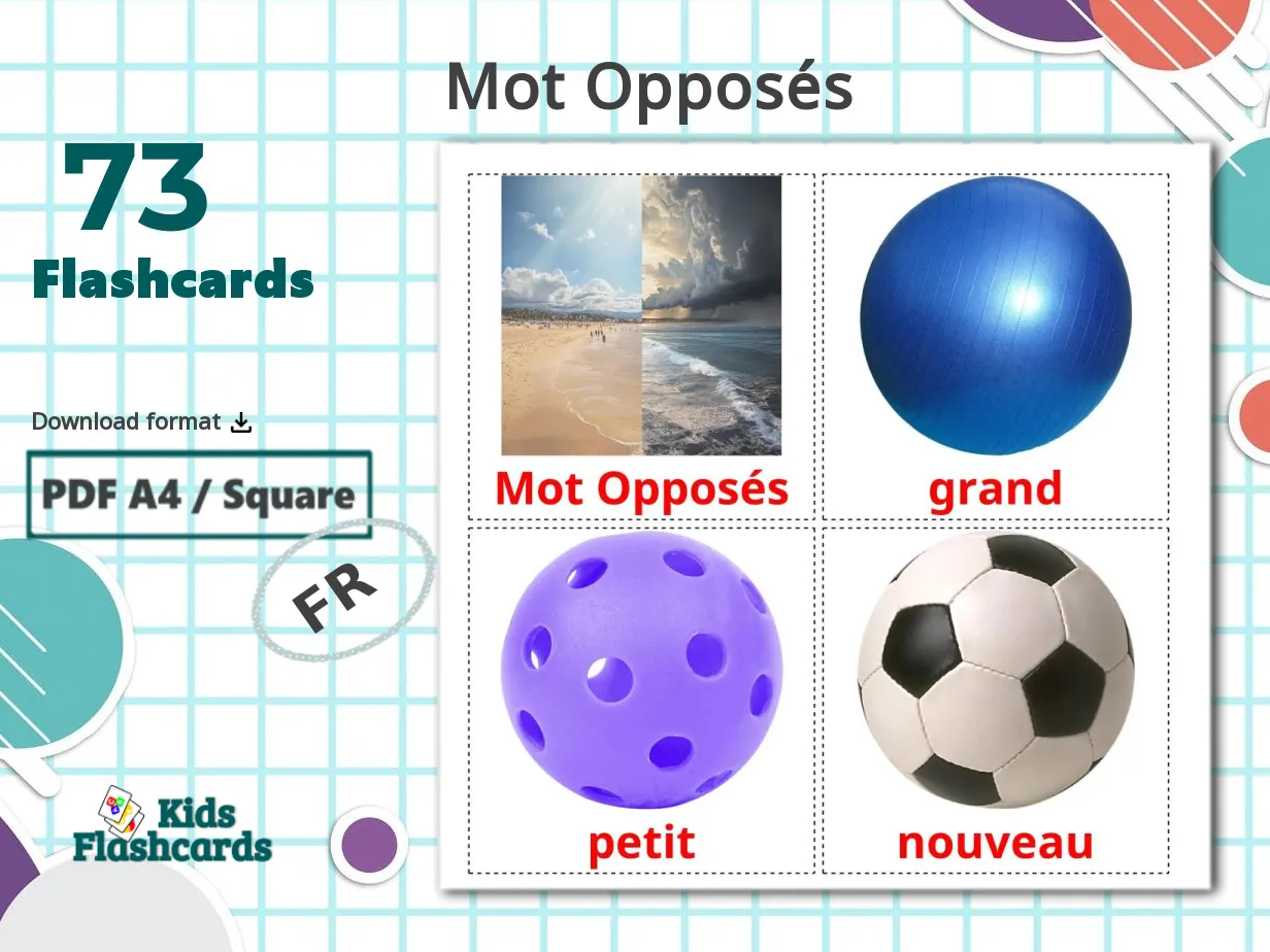 73 Printable Opposites Flashcards in French (Free PDF)