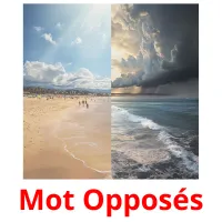 73 Printable Opposites Flashcards in French (Free PDF)