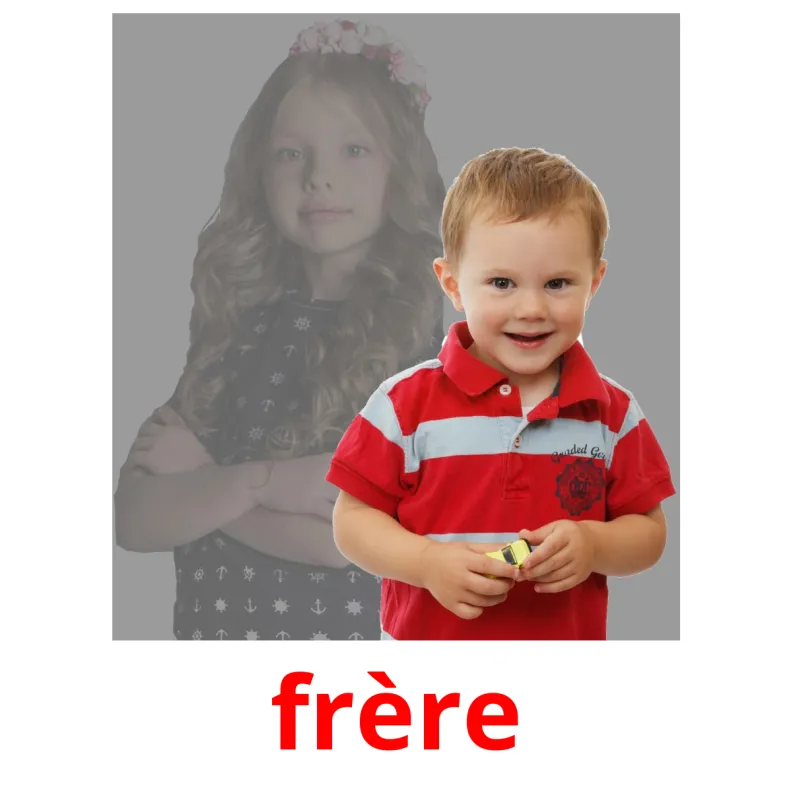 32 FREE Family members Flashcards | PDF | French Words