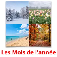 13 Cartes de Vocabulaire pour Enfants GRATUITES Les Mois de l'année à ...