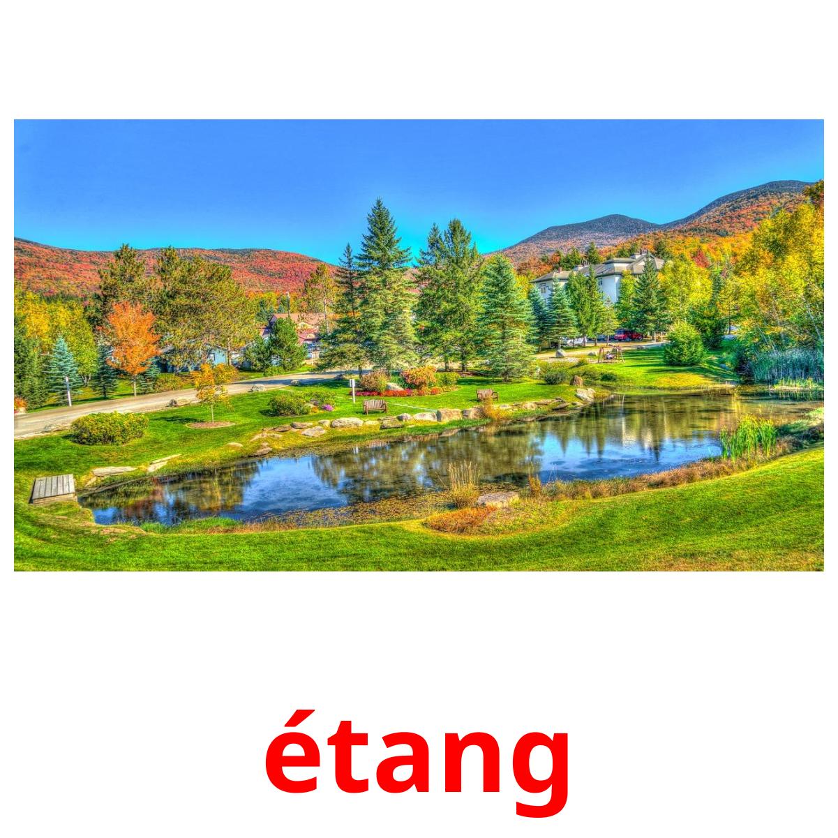 30 Printable Bodies of Water Flashcards in French (Free PDF)