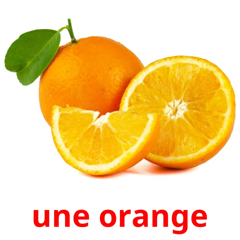 20 FREE Fruits Flashcards | PDF | French Words