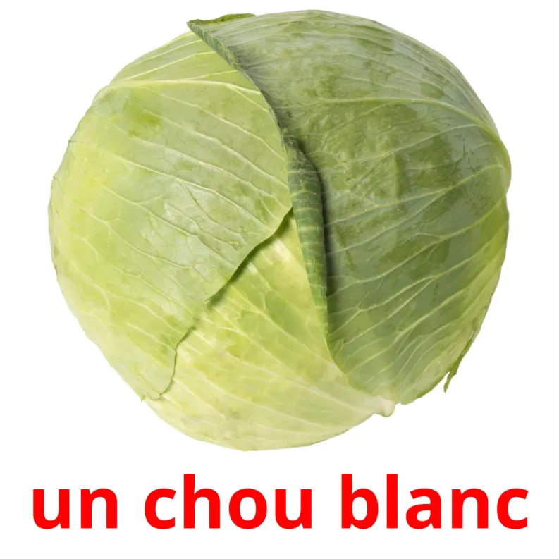29 FREE Vegetables Flashcards | PDF | French Words