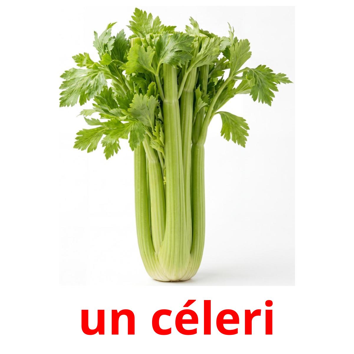 30 Printable Vegetables Flashcards in French (Free PDF)