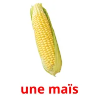 30 Cartes de Vocabulaire pour Enfants GRATUITES Les Légumes à Imprimer ...