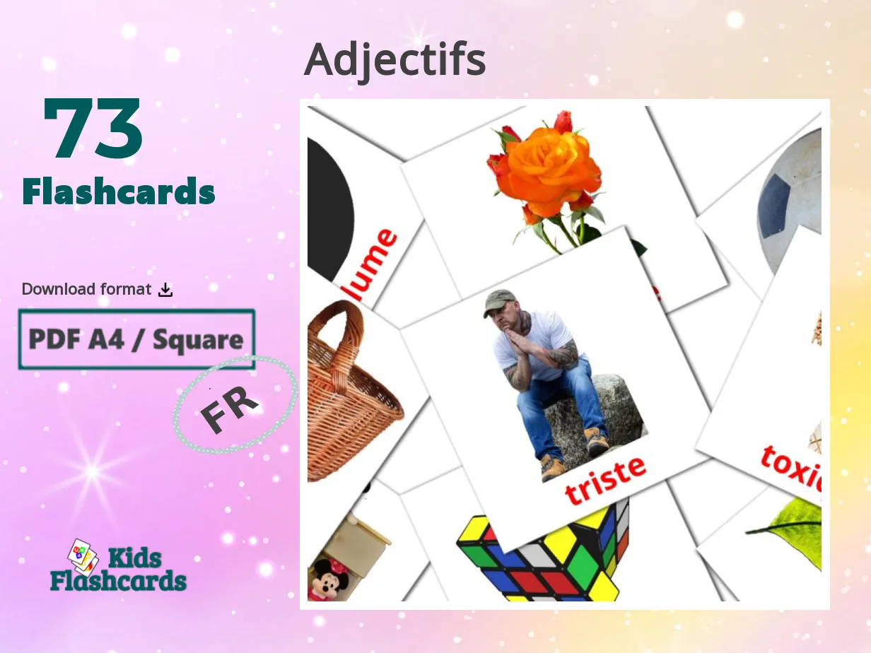73 FREE French Adjectives Flashcards | PDF
