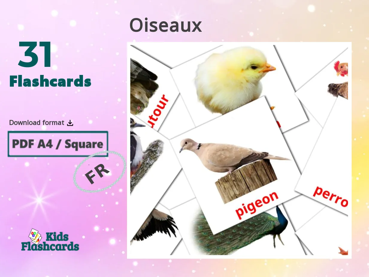 31 FREE French Birds Flashcards | PDF