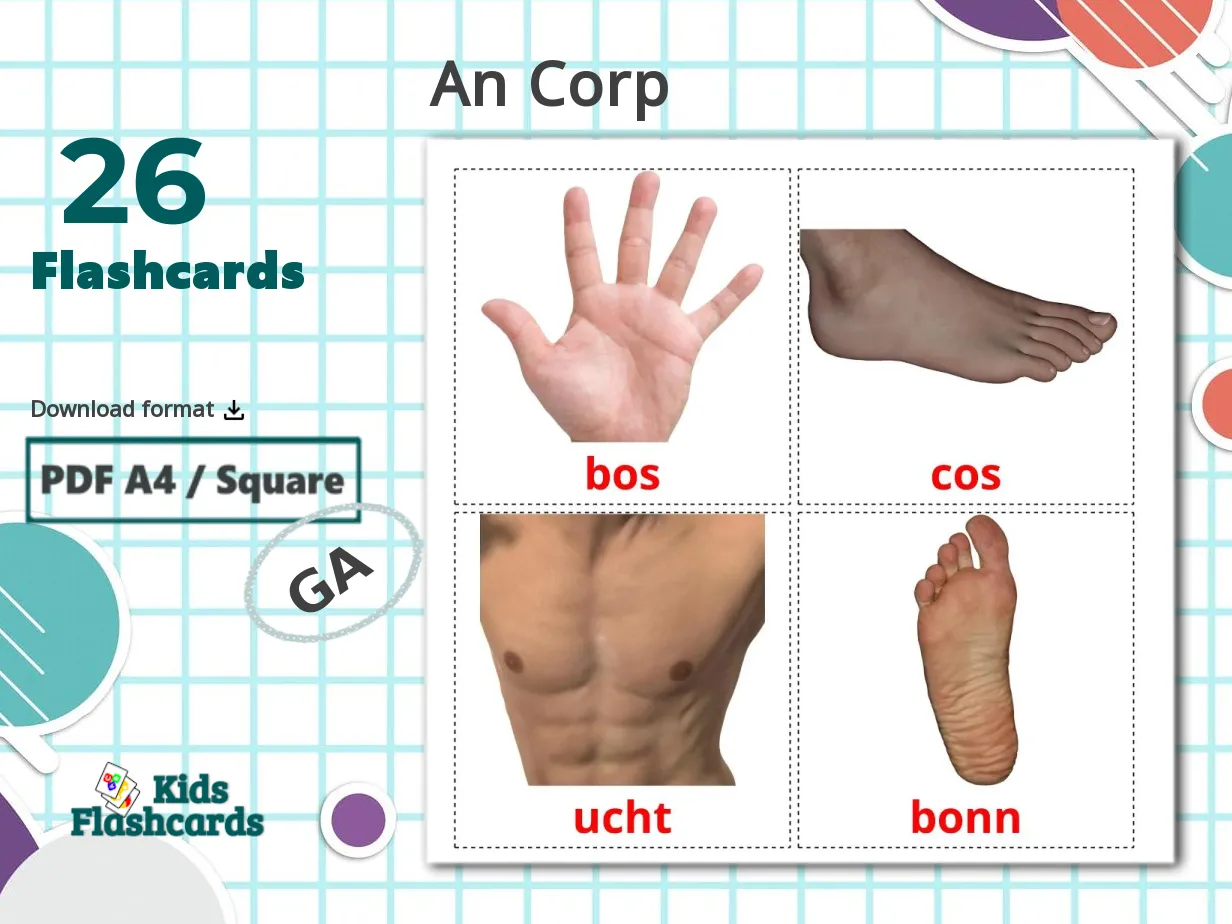 26 Printable Body Parts Flashcards in Irish (Free PDF)