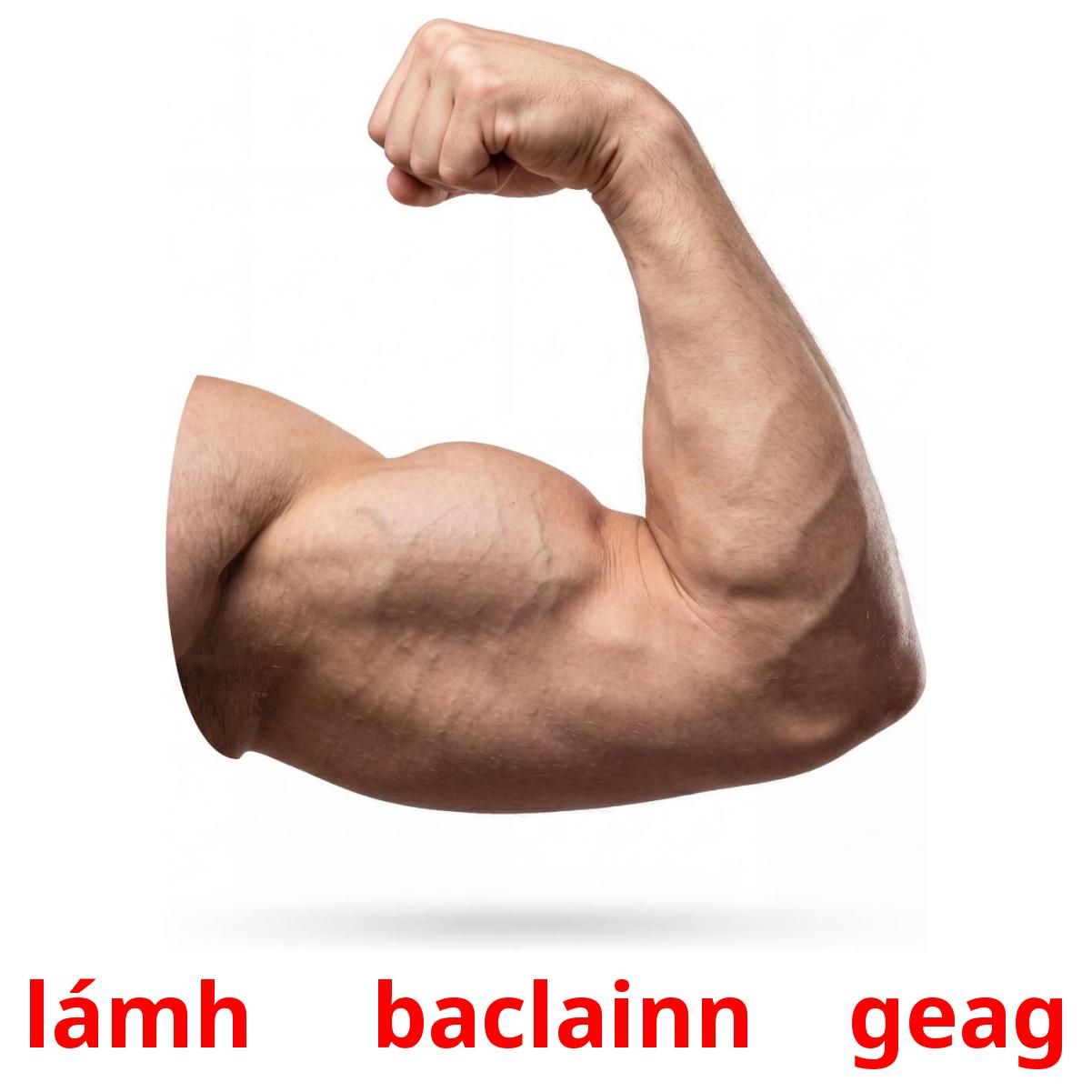 26 Printable Body Parts Flashcards in Irish (Free PDF)