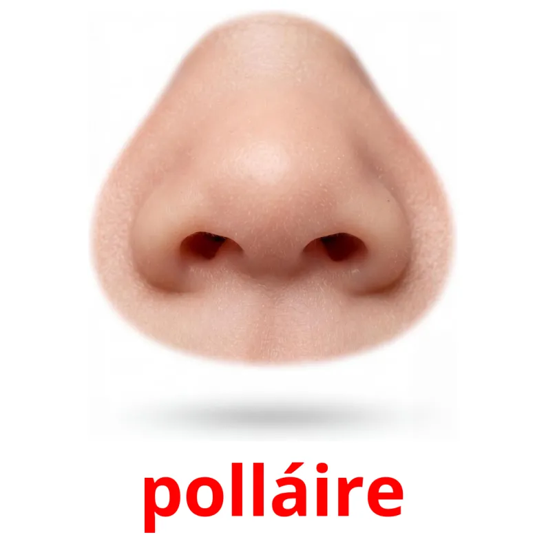 20 FREE Face Flashcards | PDF | Irish Words