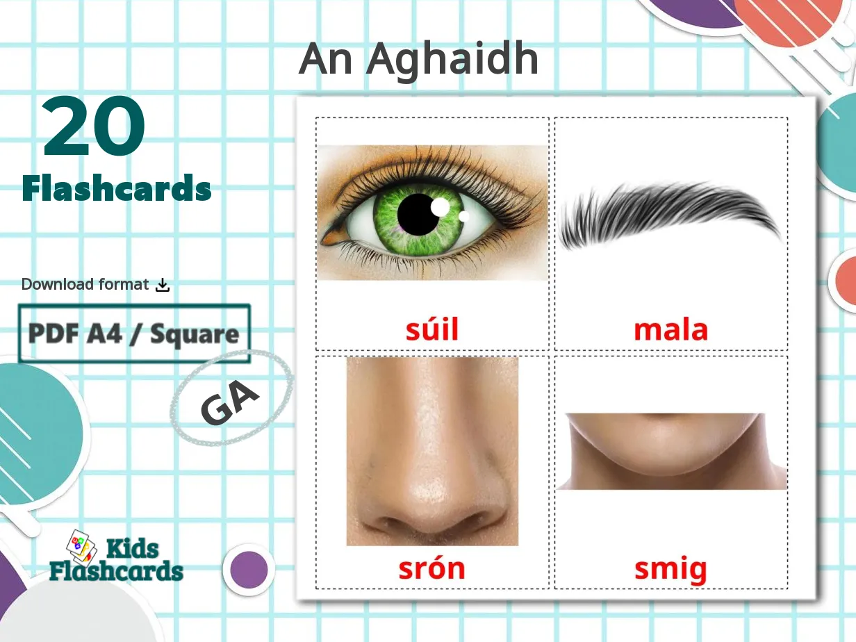 20 Printable Face Flashcards in Irish (Free PDF)