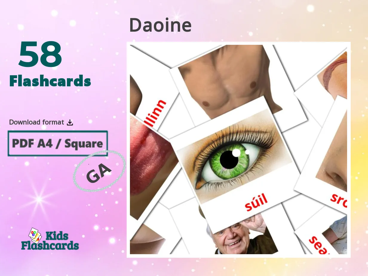 58 FREE Irish People Flashcards | PDF