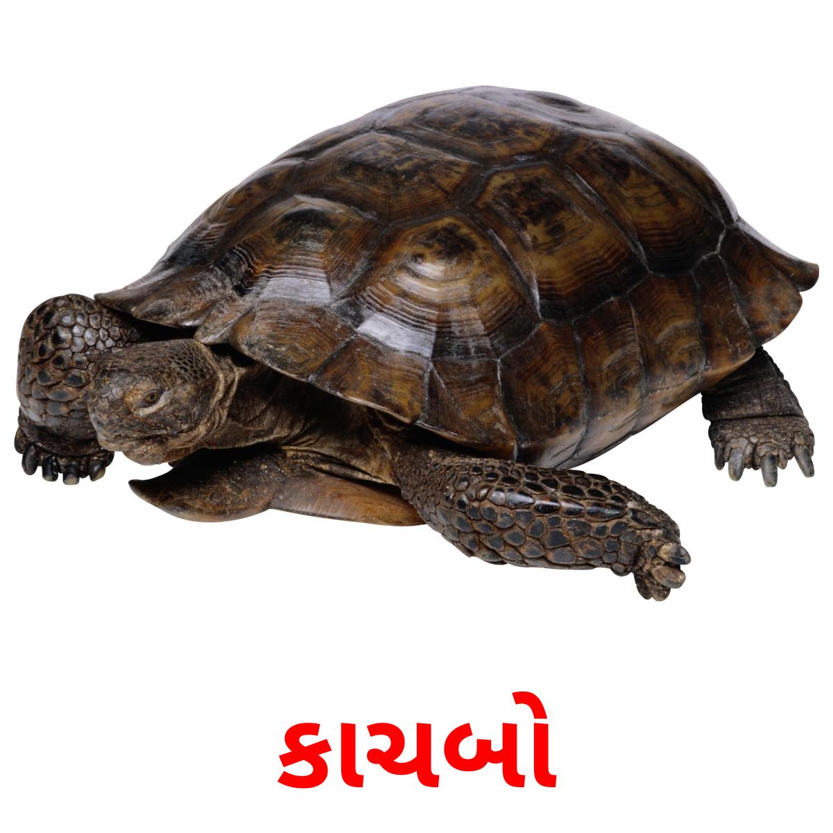11 Printable Domestic animals Flashcards in Gujarati (Free PDF)