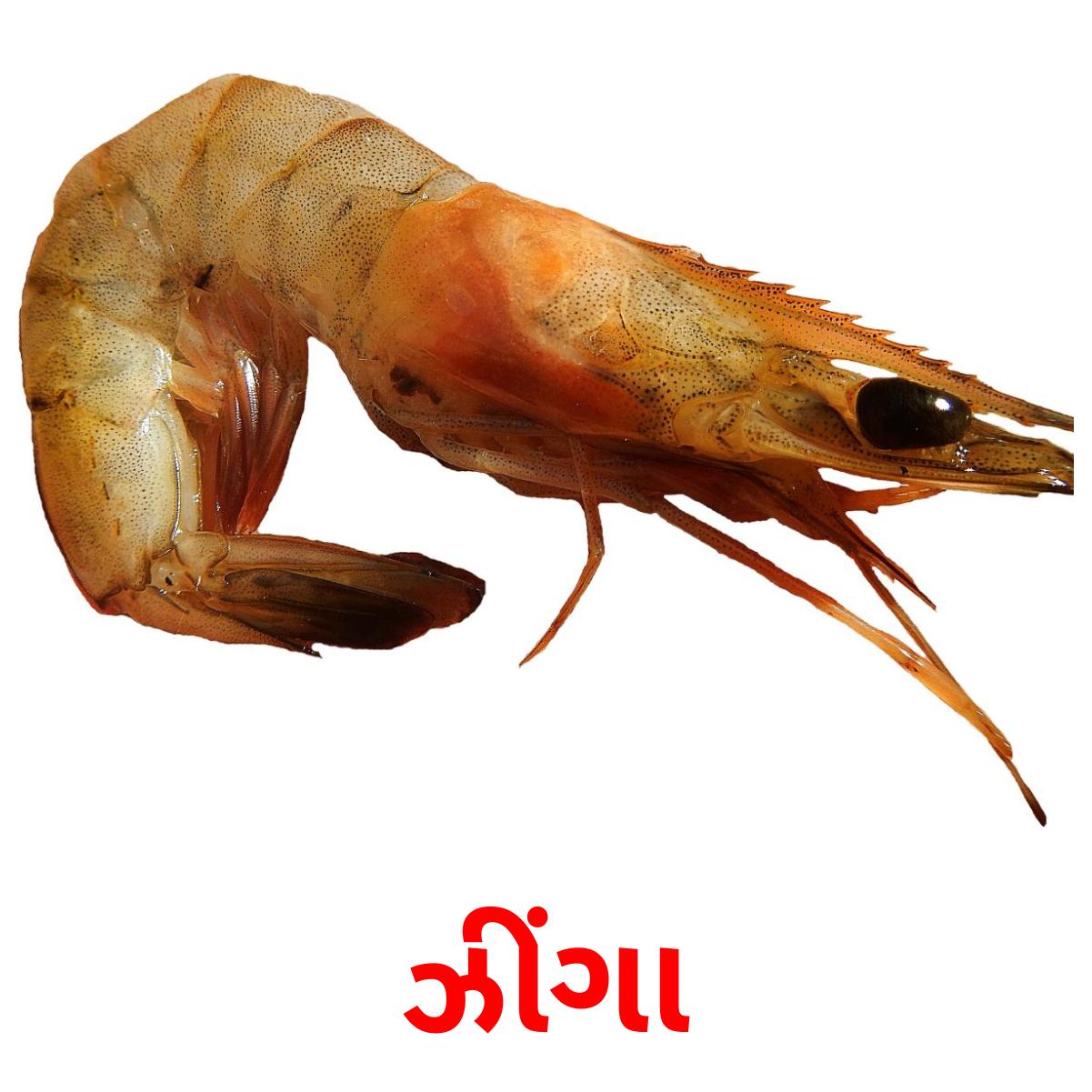 30 Printable Sea animals Flashcards in Gujarati (Free PDF)