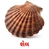 30 Printable Sea animals Flashcards in Gujarati (Free PDF)
