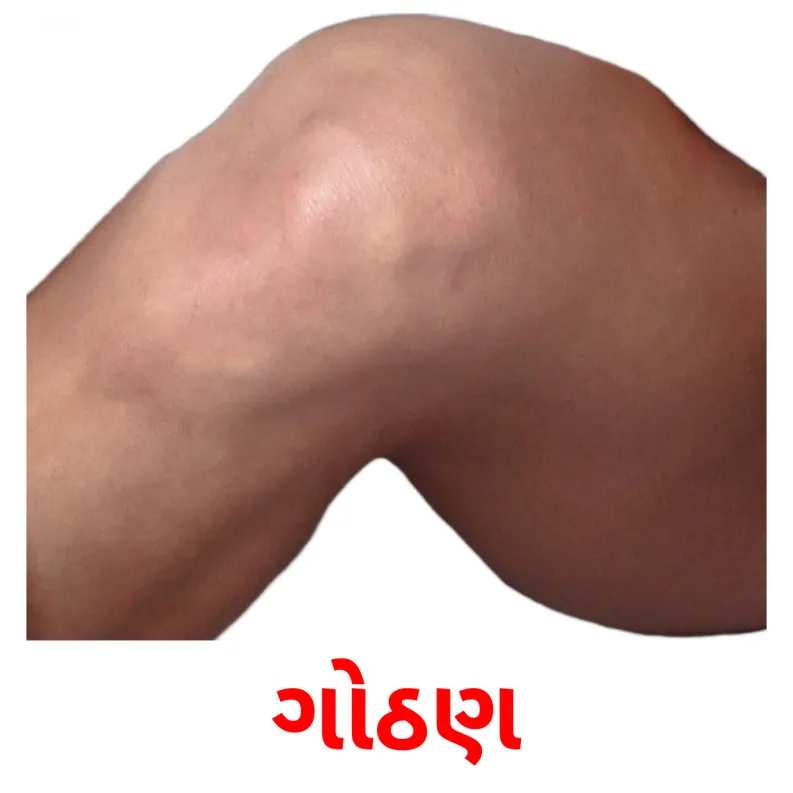 26 FREE Body Parts Flashcards | PDF | Gujarati Words