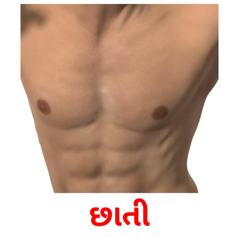 26 FREE Body Parts Flashcards | PDF | Gujarati Words