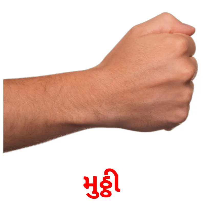 26 FREE Body Parts Flashcards | PDF | Gujarati Words