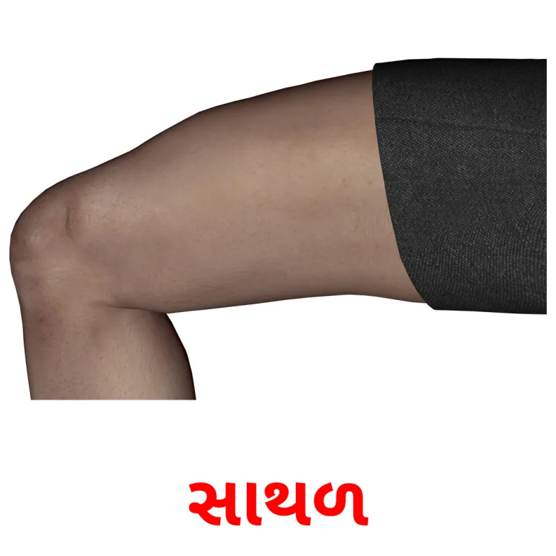 26 FREE Body Parts Flashcards | PDF | Gujarati Words