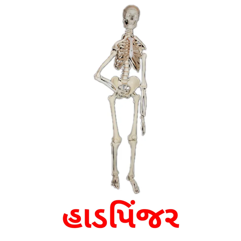 26 FREE Body Parts Flashcards | PDF | Gujarati Words