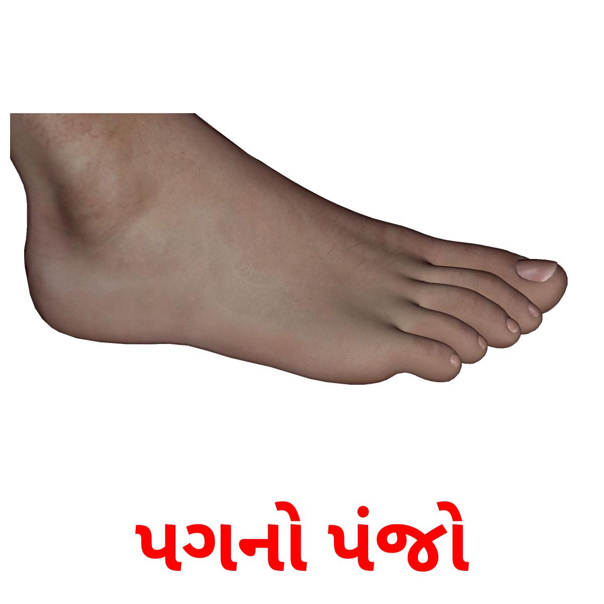 26 FREE Body Parts Flashcards | PDF | Gujarati Words