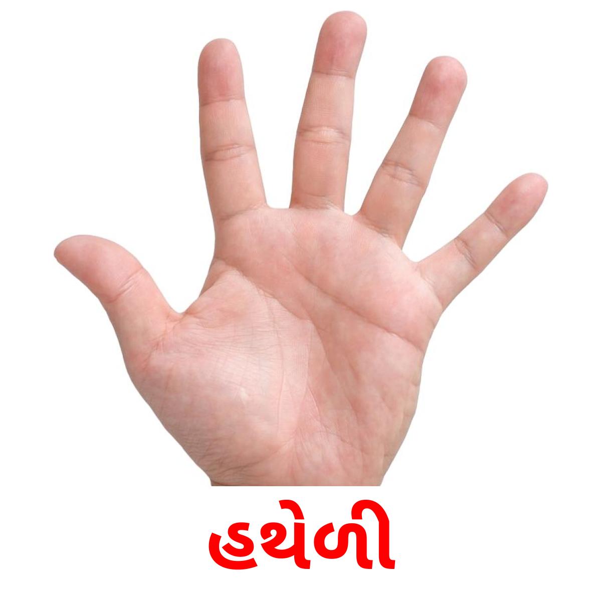 26 FREE Body Parts Flashcards | PDF | Gujarati Words