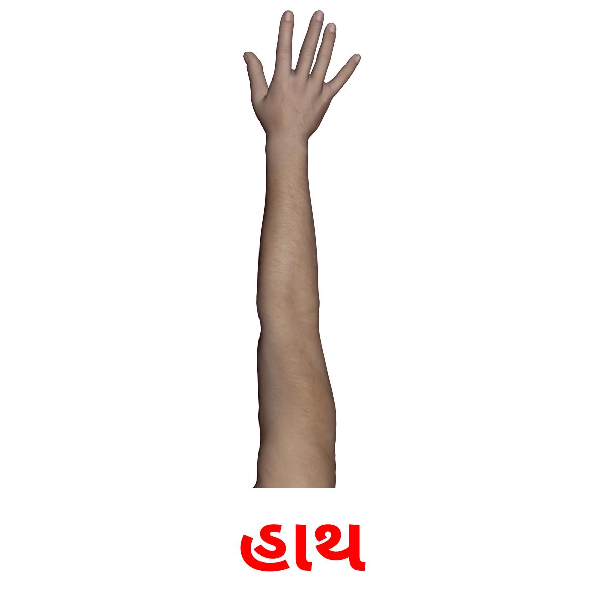 26 FREE Body Parts Flashcards | PDF | Gujarati Words