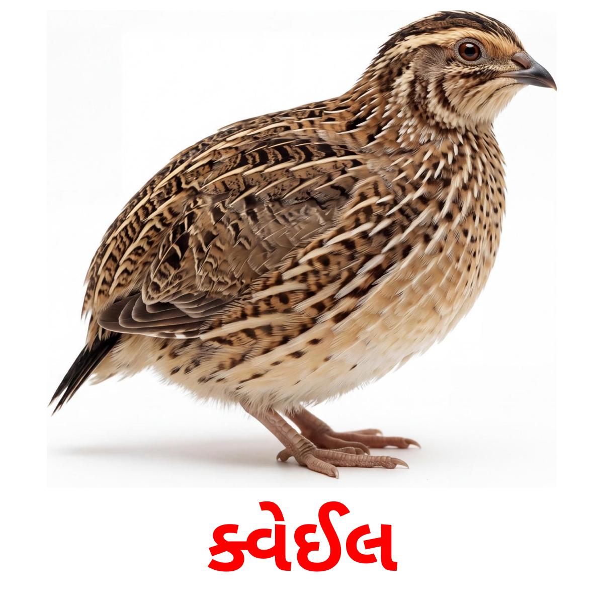 12 Printable Farm birds Flashcards in Gujarati (Free PDF)