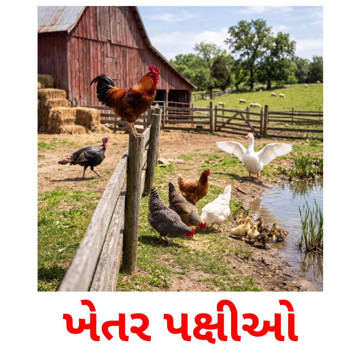 12 Printable Farm birds Flashcards in Gujarati (Free PDF)