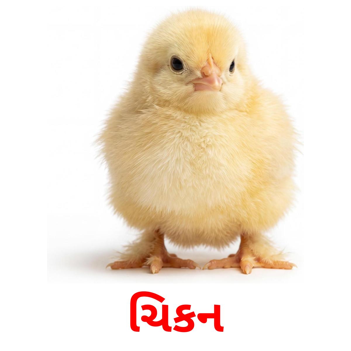 12 Printable Farm birds Flashcards in Gujarati (Free PDF)
