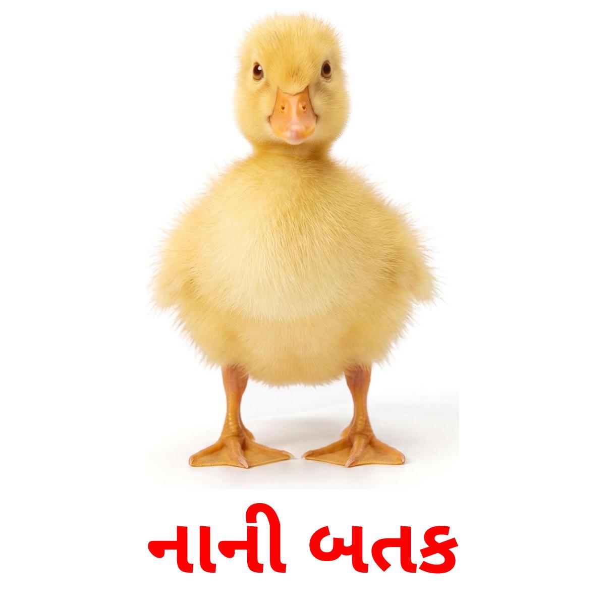 12 Printable Farm birds Flashcards in Gujarati (Free PDF)