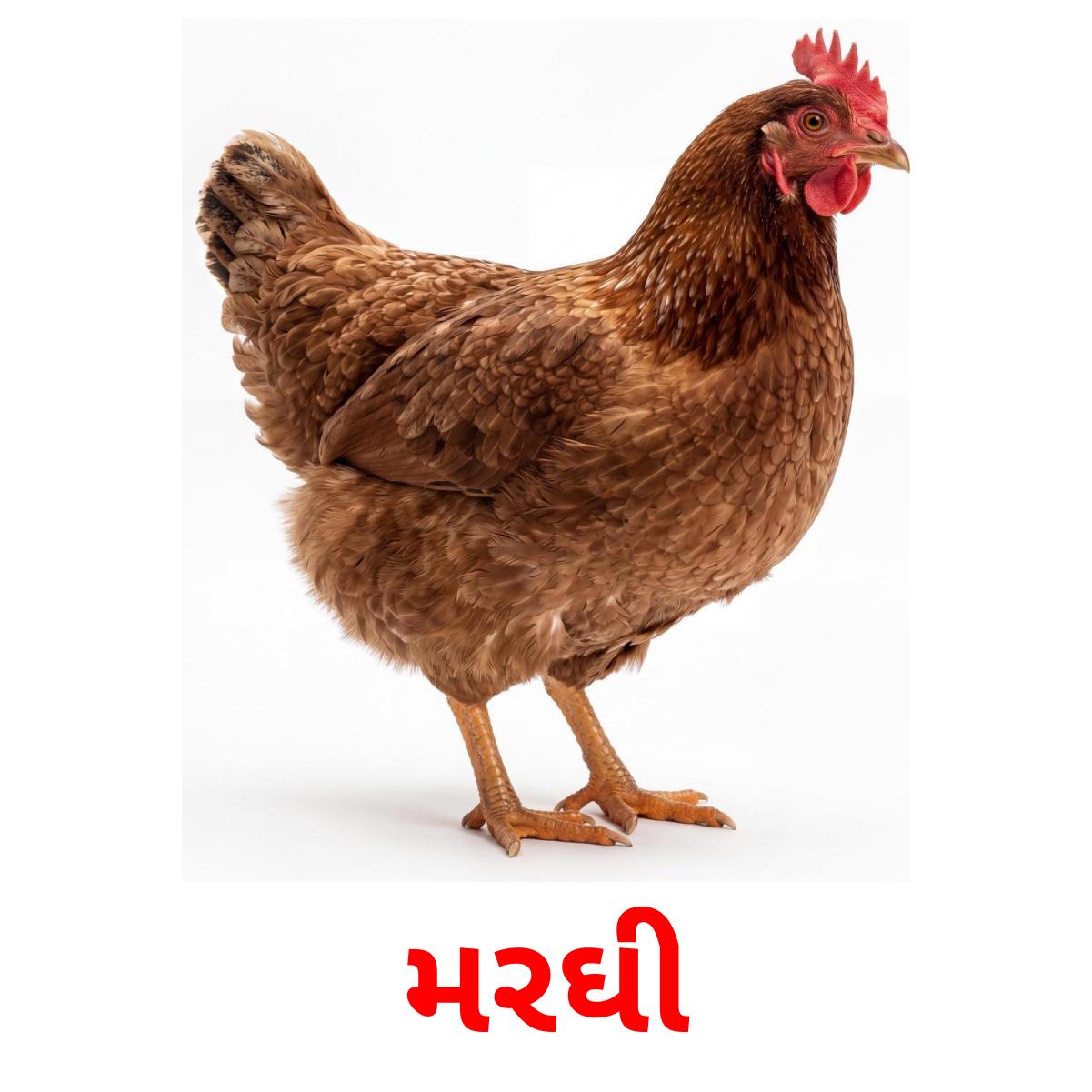 12 Printable Farm birds Flashcards in Gujarati (Free PDF)