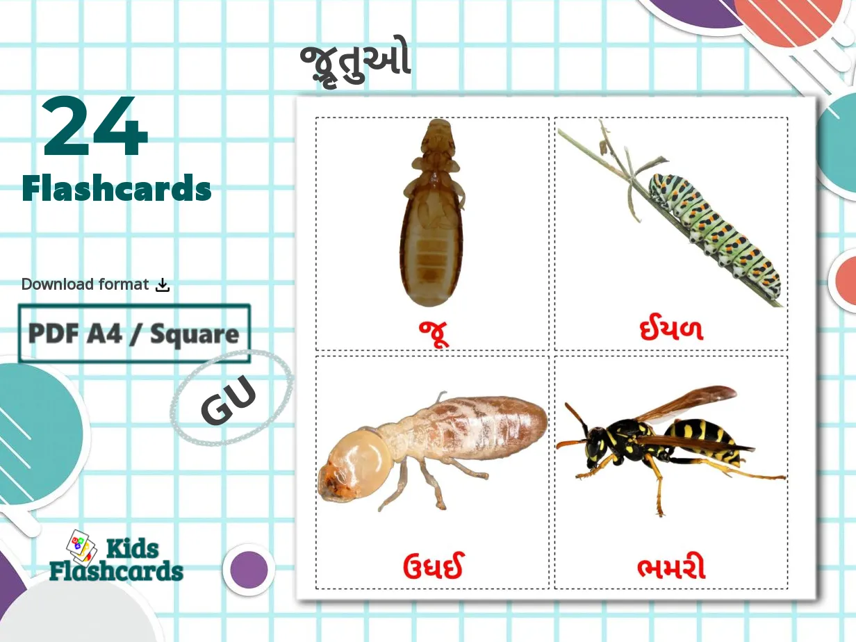 24 Printable Insects Flashcards in Gujarati (Free PDF)