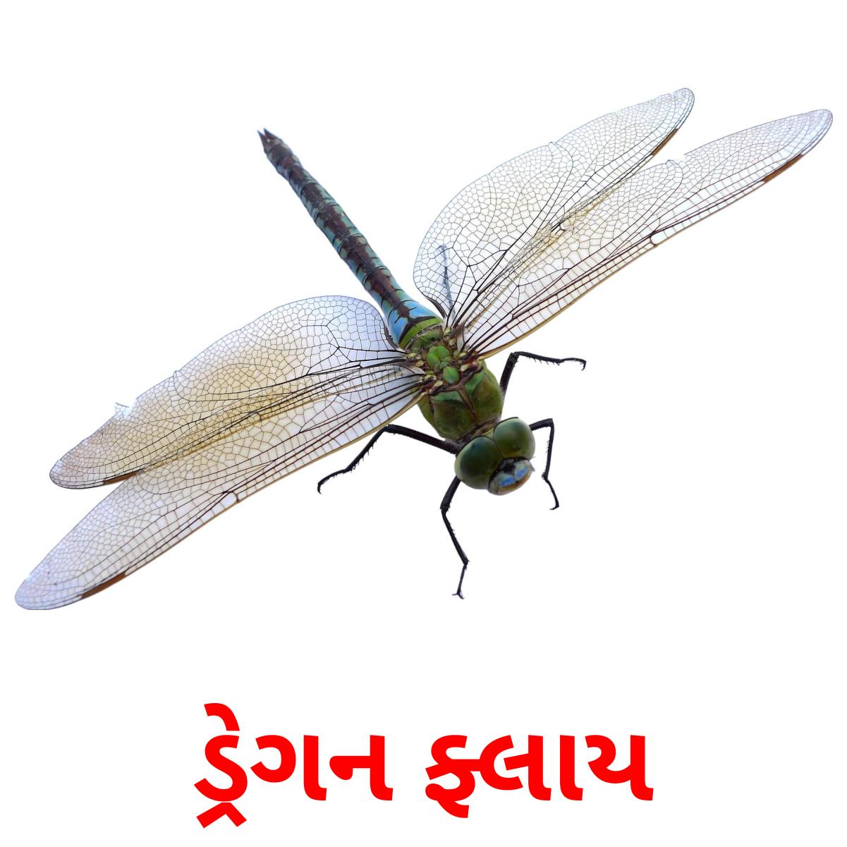24 Printable Insects Flashcards in Gujarati (Free PDF)