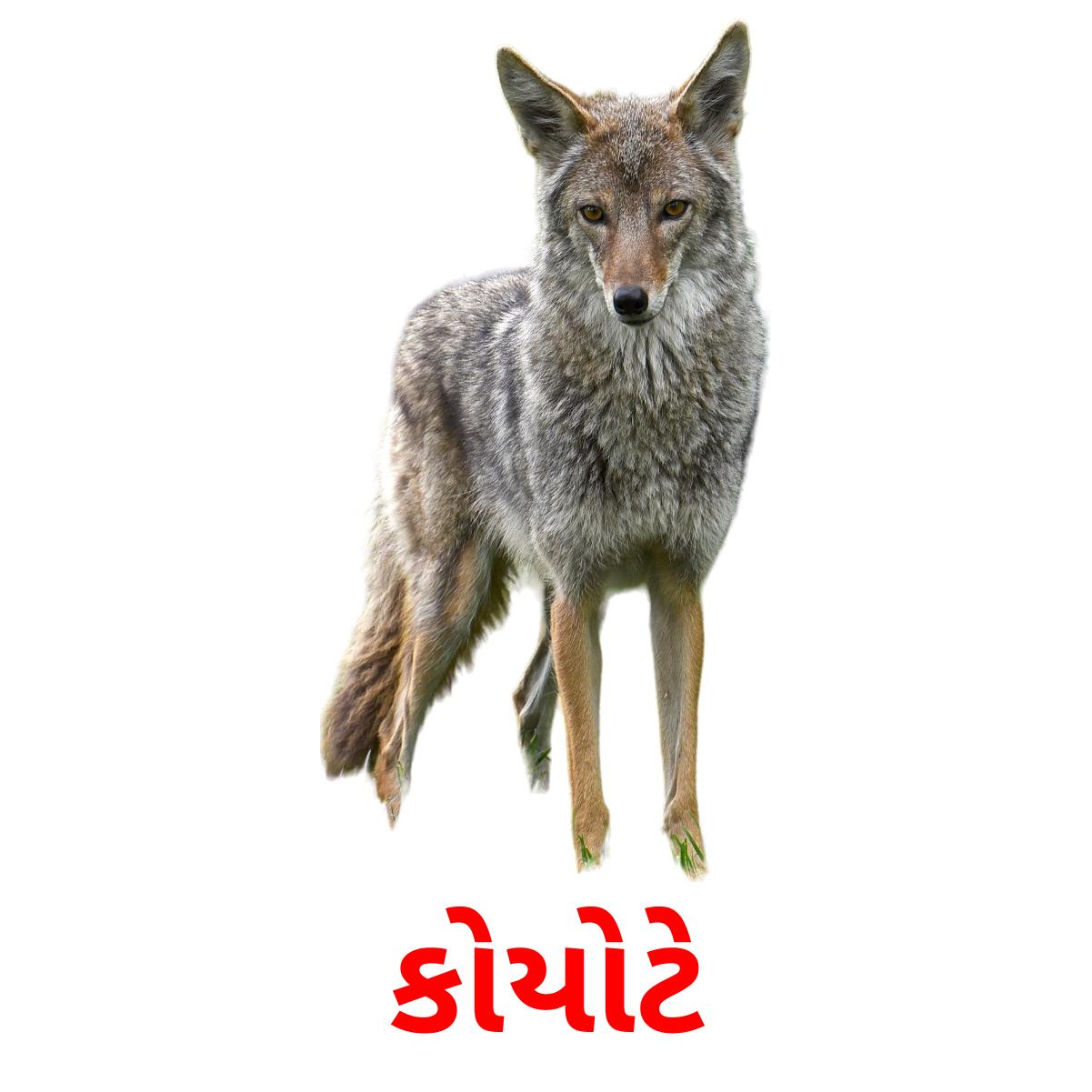 23 Printable Forest animals Flashcards in Gujarati (Free PDF)