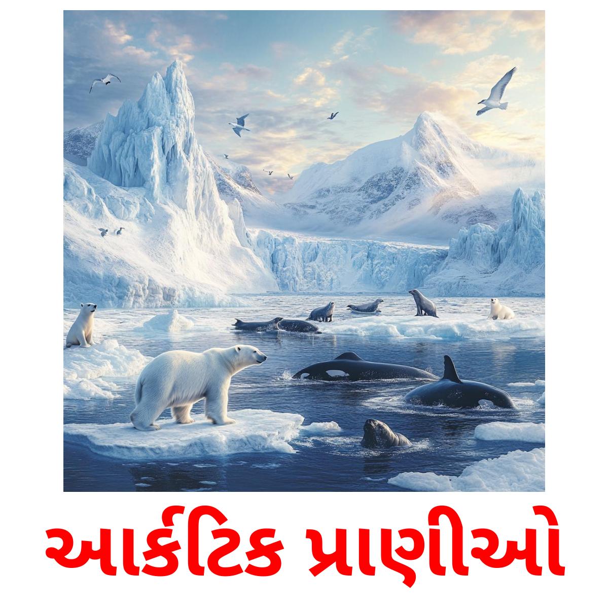 141 FREE Gujarati Animals Flashcards | PDF