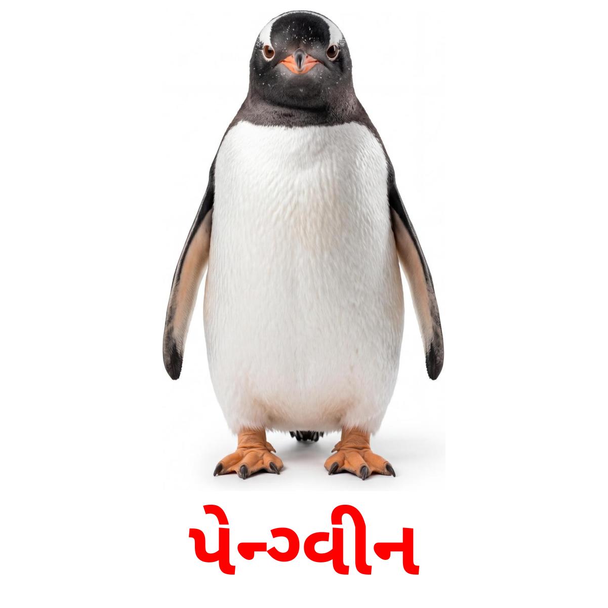 19 Printable Wild birds Flashcards in Gujarati (Free PDF)