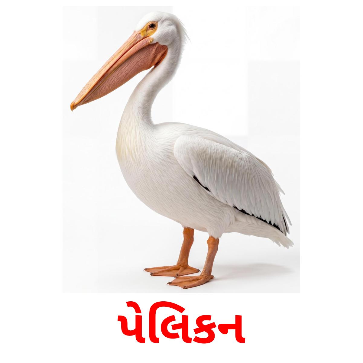 19 Printable Wild birds Flashcards in Gujarati (Free PDF)