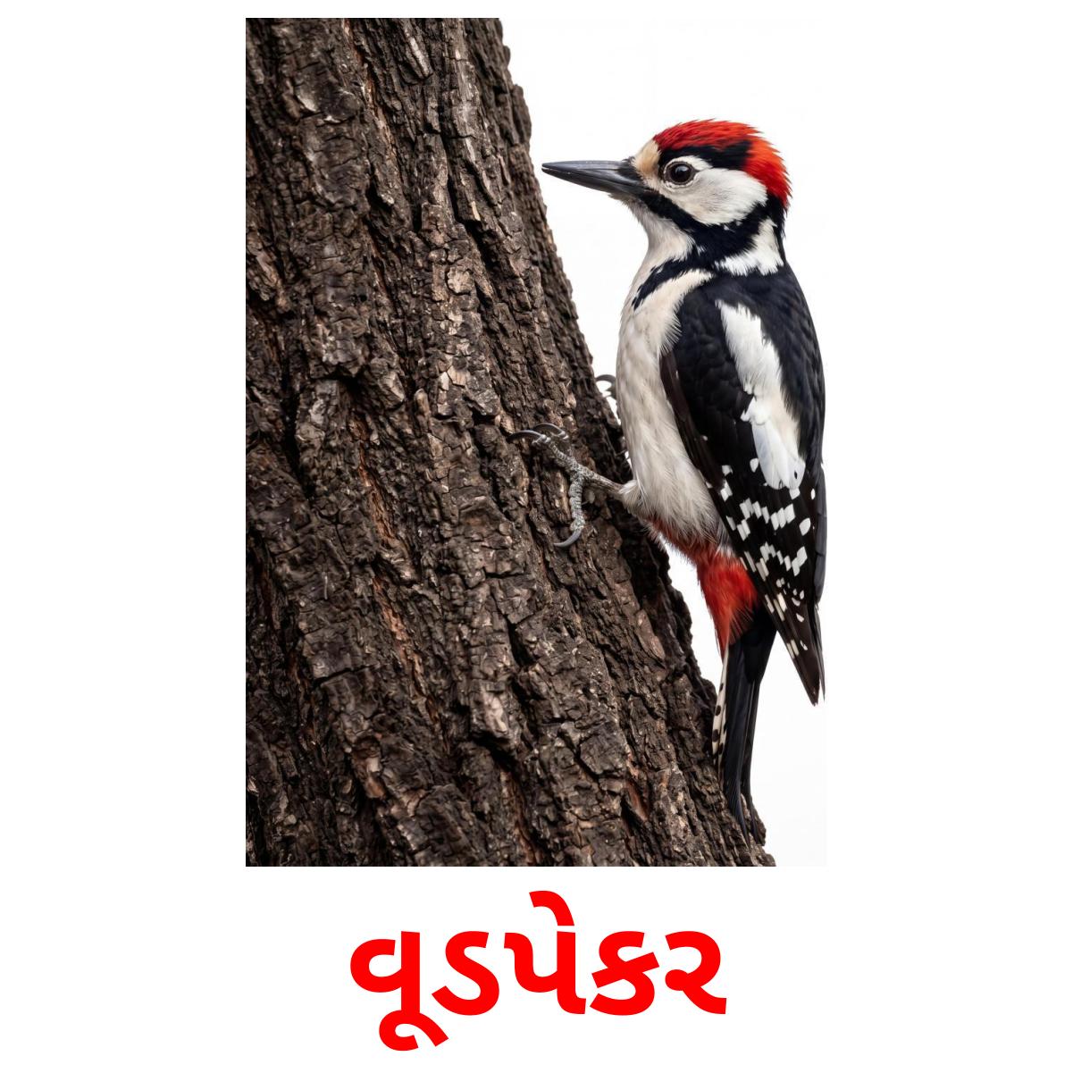 19 Printable Wild birds Flashcards in Gujarati (Free PDF)