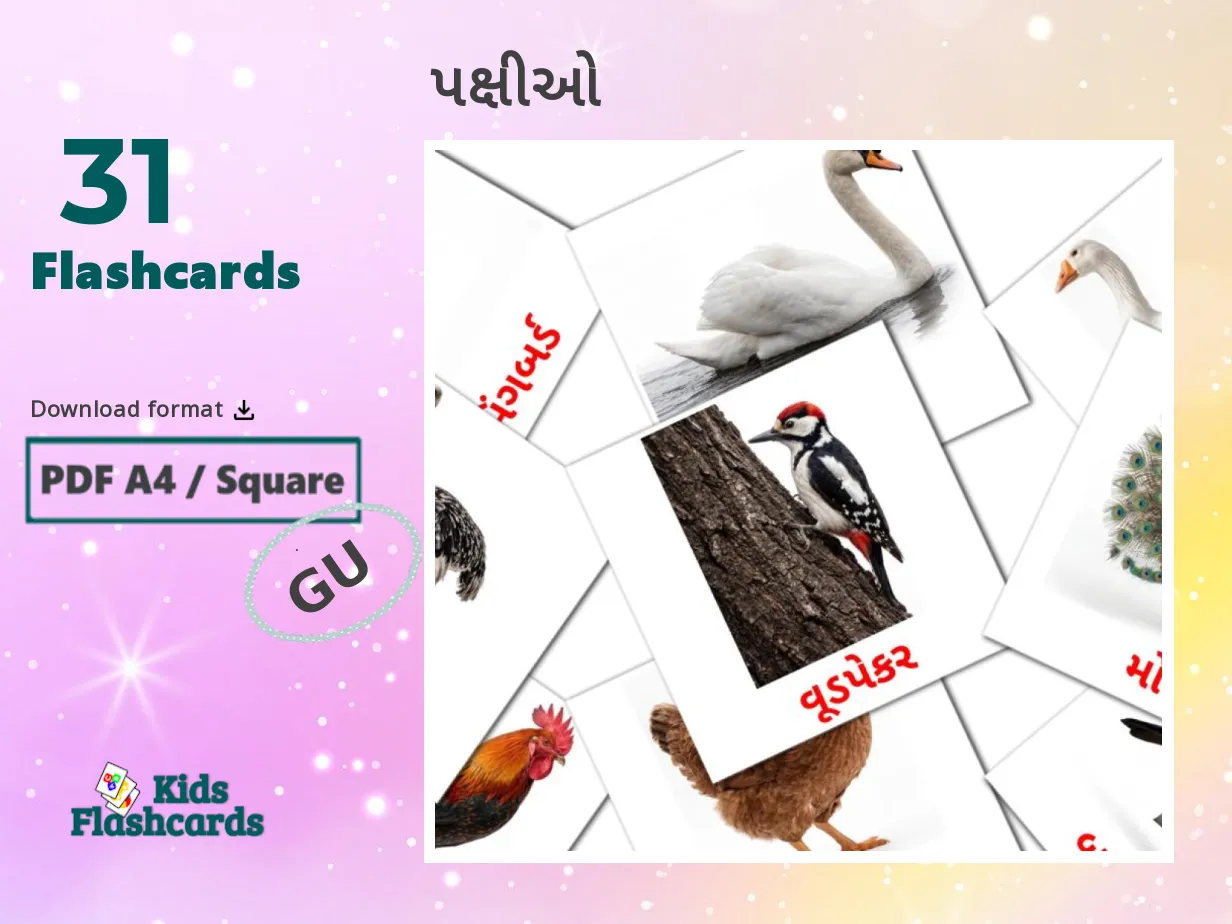 31 FREE Gujarati Birds Flashcards | PDF