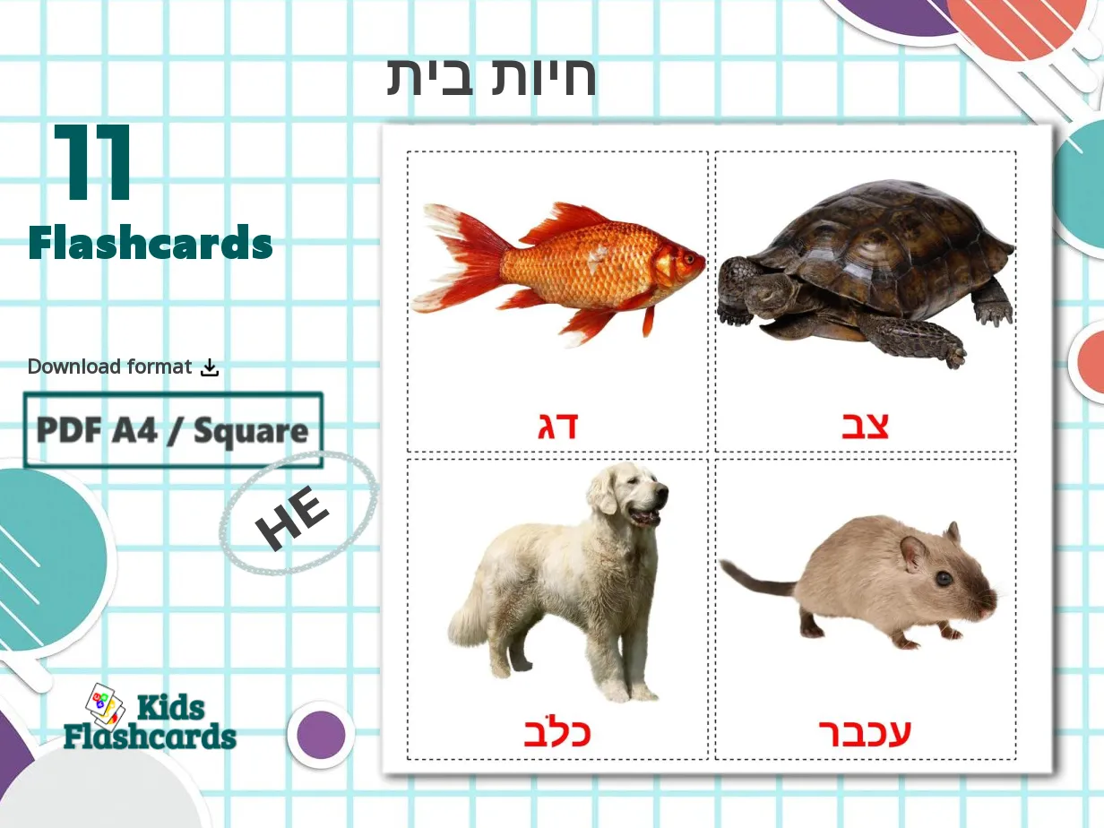 11 Printable Domestic animals Flashcards in Hebrew (Free PDF)