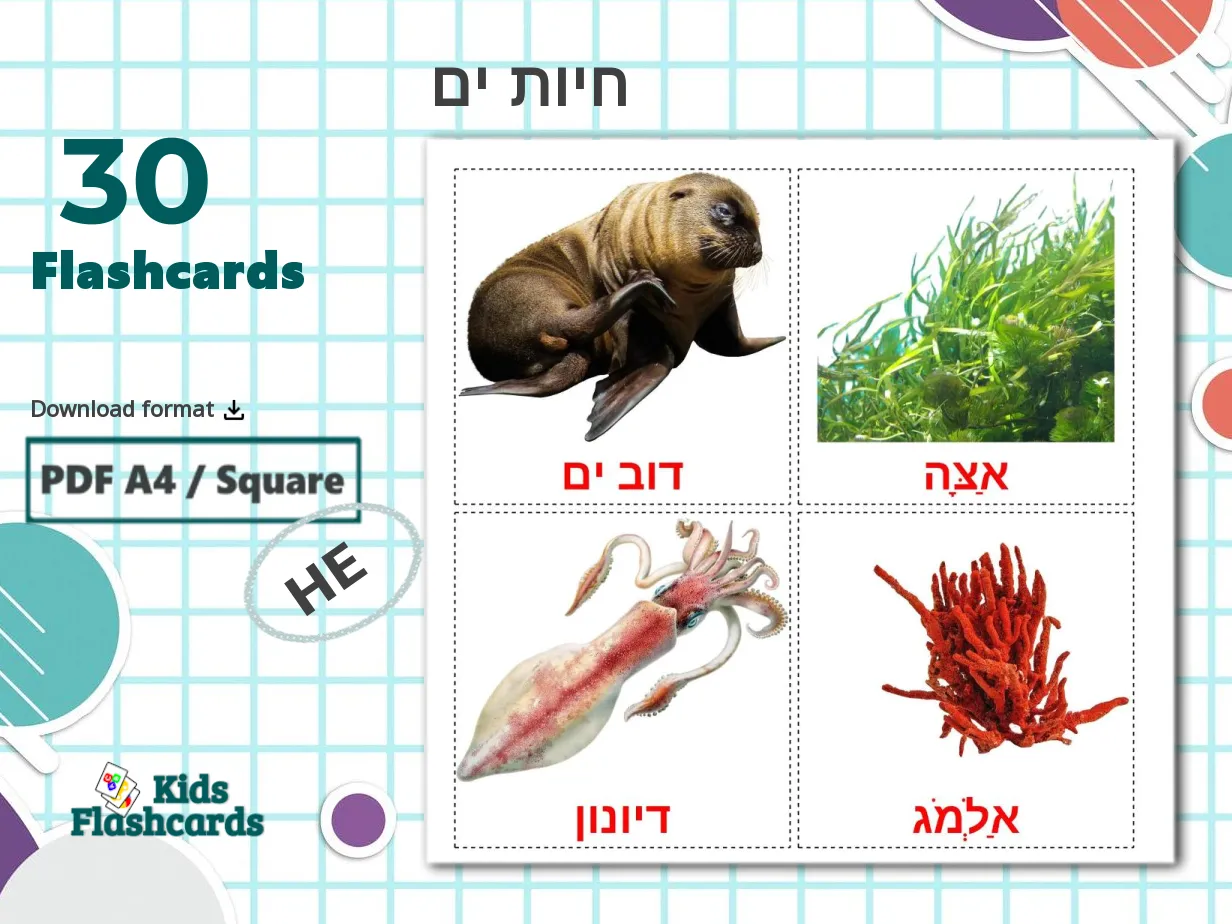 30 Printable Sea animals Flashcards in Hebrew (Free PDF)