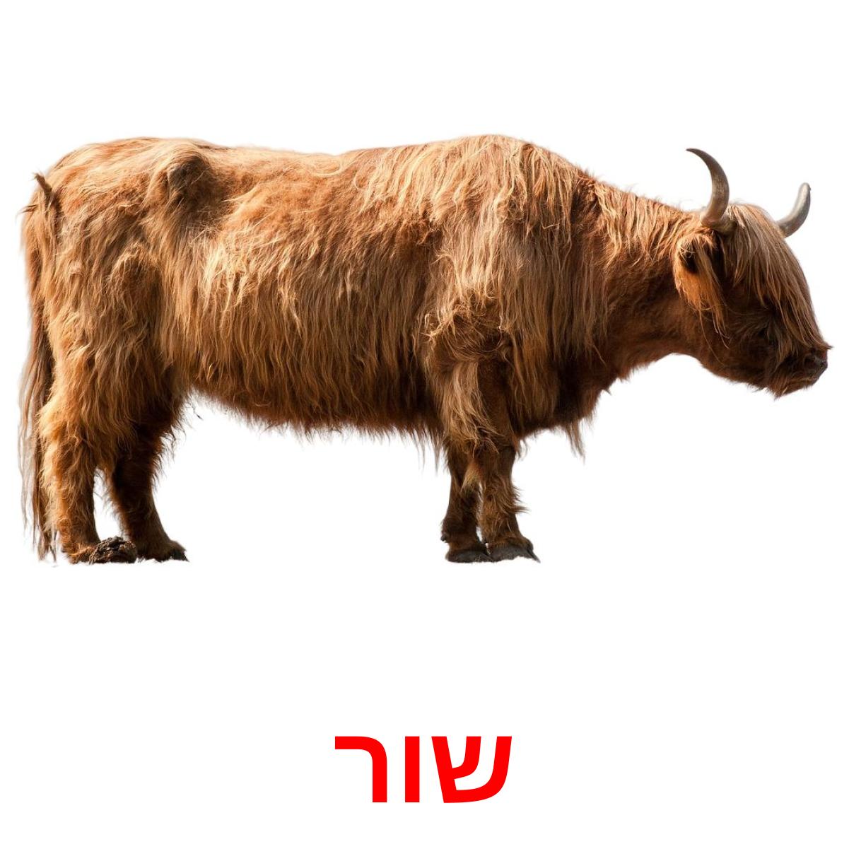 16 Printable Farm animals Flashcards in Hebrew (Free PDF)