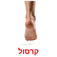 26 Printable Body Parts Flashcards in Hebrew (Free PDF)