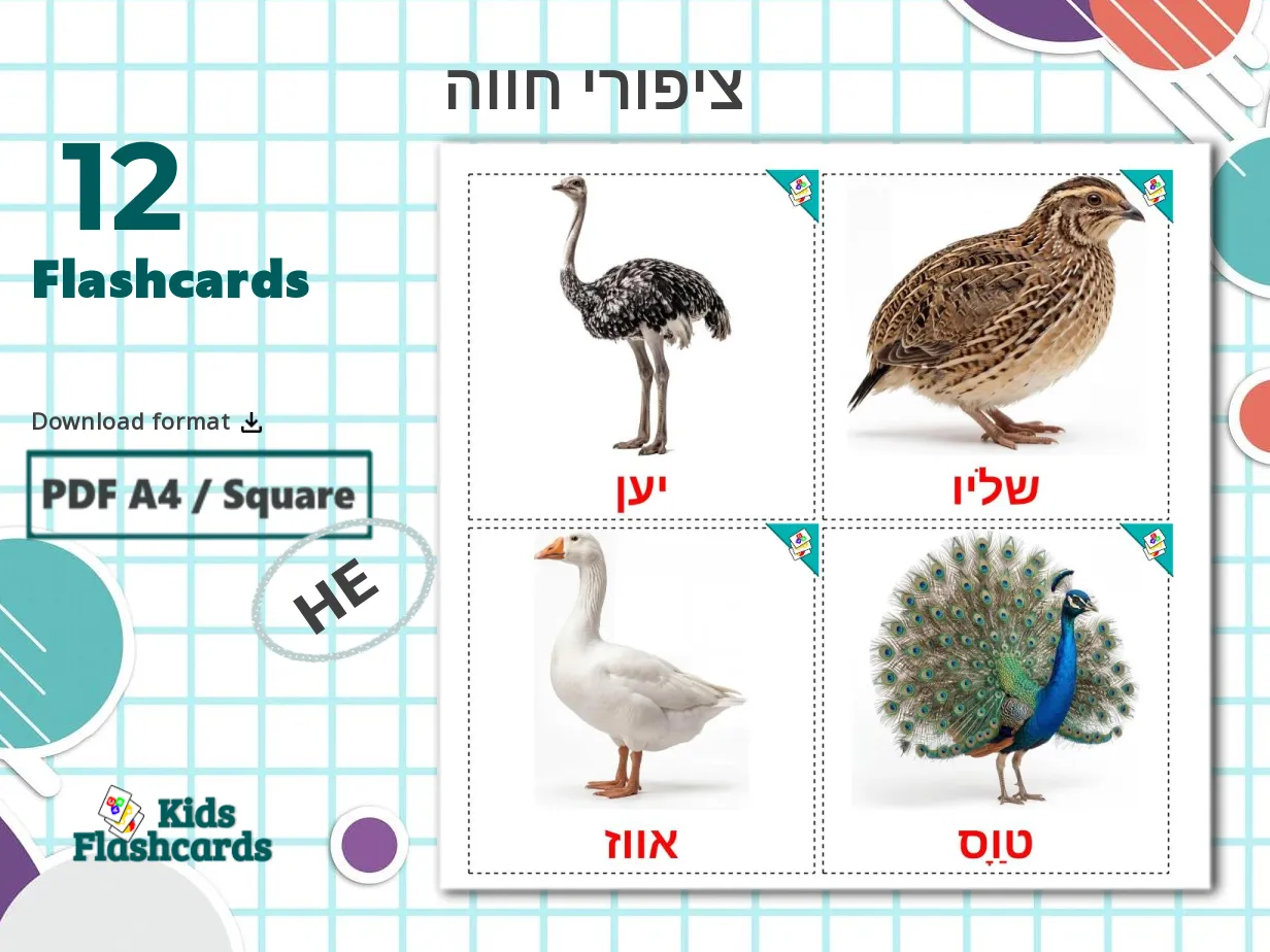 12 Printable Farm birds Flashcards in Hebrew (Free PDF)