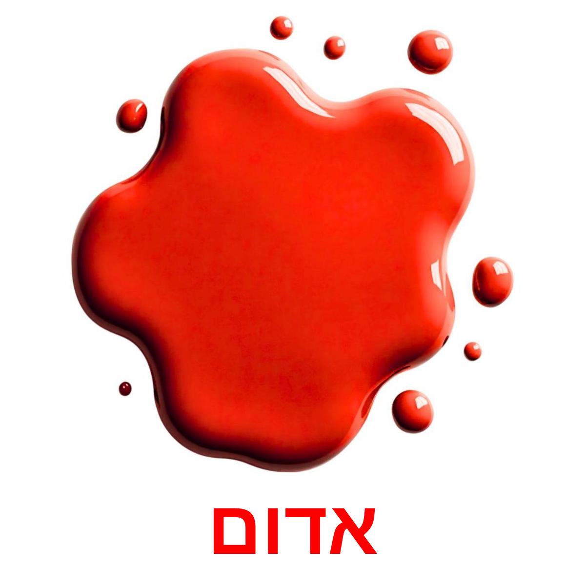 75 FREE Hebrew Colors and shapes Flashcards | PDF