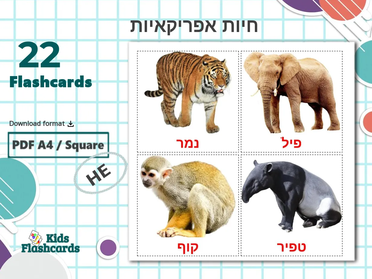 22 Printable Jungle animals Flashcards in Hebrew (Free PDF)