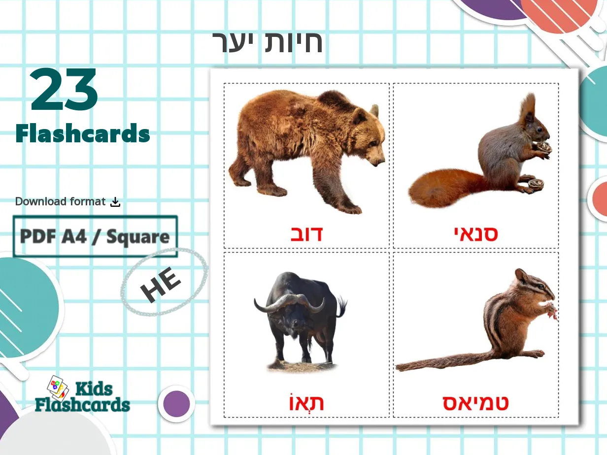 23 Printable Forest animals Flashcards in Hebrew (Free PDF)