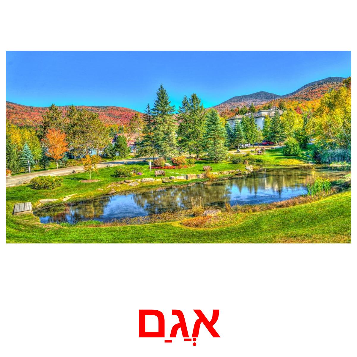 30 Printable Bodies of Water Flashcards in Hebrew (Free PDF)