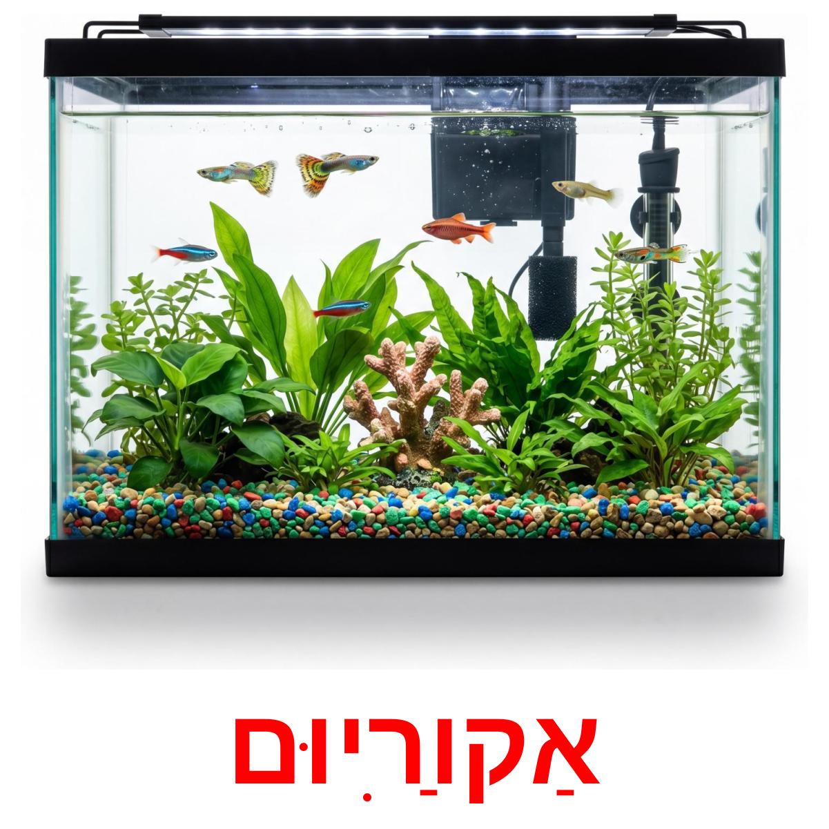 30 FREE Bodies of Water Flashcards | PDF | Hebrew Words